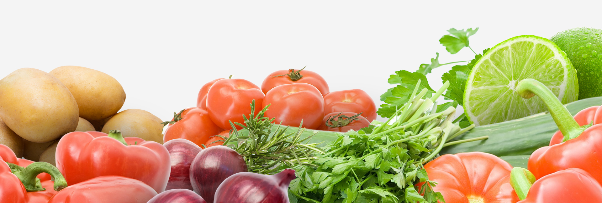Taikojin Group offers a range of Hybrid and O.P. vegetable varieties ...