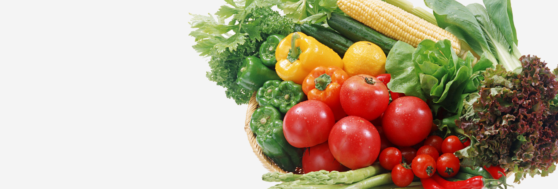 Taikojin Group offers a range of Hybrid and O.P. vegetable varieties ...